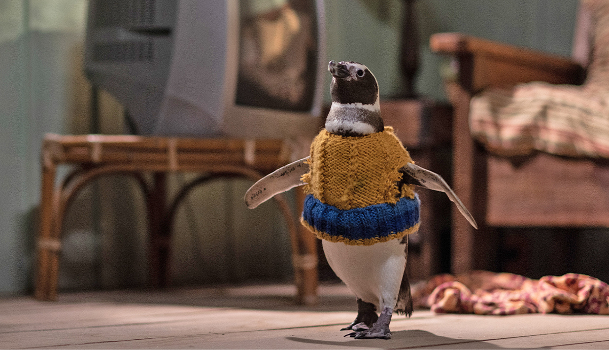 My Penguin Friend Brings Heartwarming Adventure to Digital This October ...